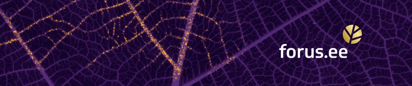 🟢 FORUS SECURITY AS | Töötajad ja palgad | STORYBOOK