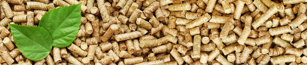 🟢 GRAANUL INVEST AS | Seire sündmused | STORYBOOK