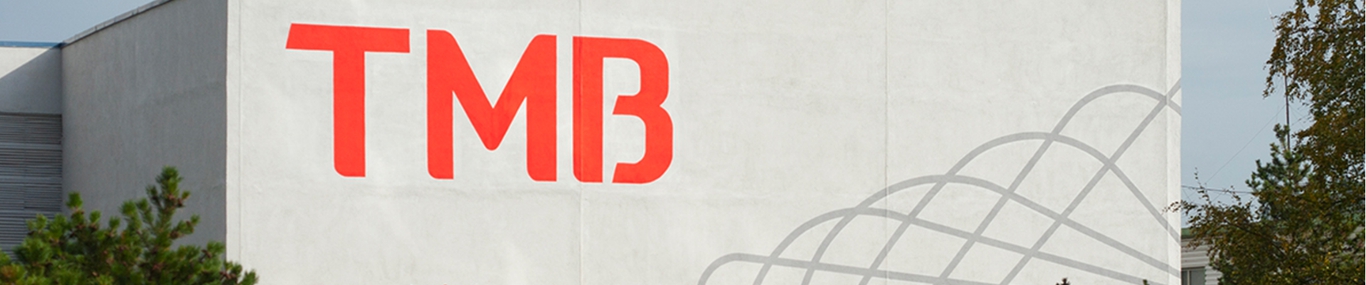 🟢 TMB ELEMENT OÜ | Employees and salaries | STORYBOOK