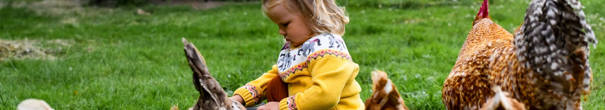 KALLASTE HOBITALU OÜ - 16158387 | Story: Looduslähedane olemine ...