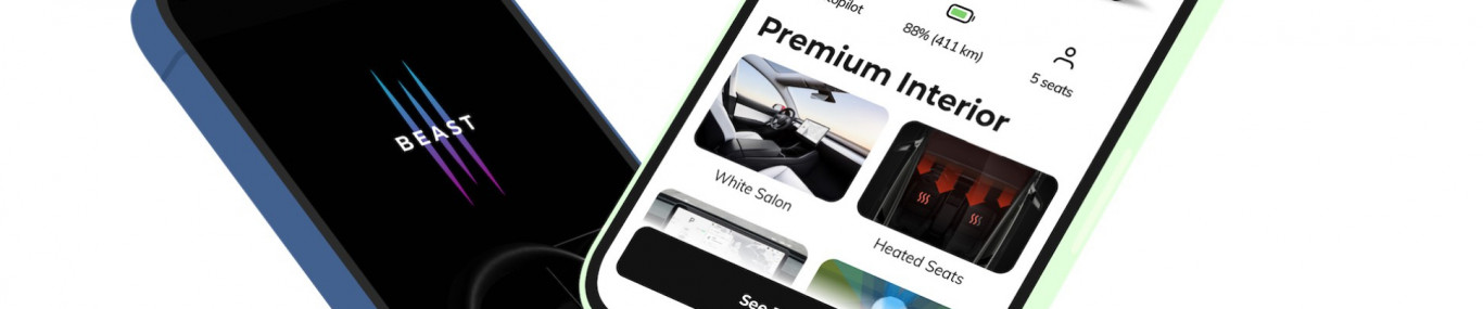 🔴 ELECTRIC BEAST GLOBAL OÜ | Financials and assets | STORYBOOK