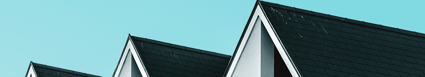 🟢 VERTEX VR OÜ | Töötajad ja palgad | STORYBOOK