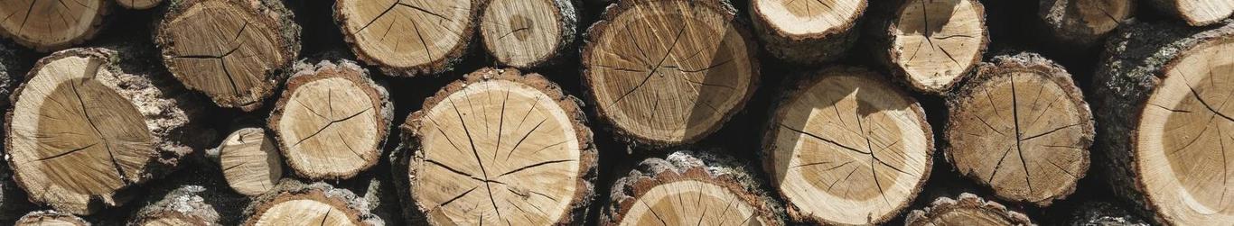 🟢 VIKTOR TSARJOV FIE - 10022882 | Meedia, arvamuslood | STORYBOOK