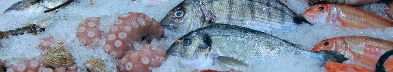 🟢 SAARE FISHEXPORT OÜ | Töötajad ja palgad | STORYBOOK
