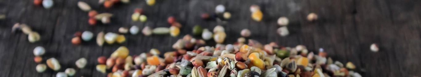 🟢 MULKIDE PÕLLUMAJANDUSÜHISTU TÜH | Summary report | STORYBOOK