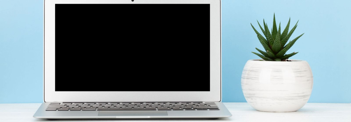 🟢 BOLT OPERATIONS OÜ (14532901) - Overview @ Inforegister.ee